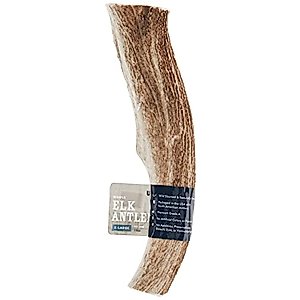 Amazon Brand - Wag Elk Antler - Whole - X-Large 9.5-10.5 inches (Best for Dogs over 45 lbs)