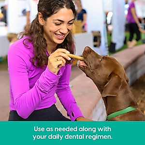 ARK NATURALS Breath Bursts Brushless Toothpaste, Dog Dental Sticks for Large Breeds, Unique Texture Helps Clean Teeth & Freshen Breath, Peppermint, 6 oz, 1 Pack