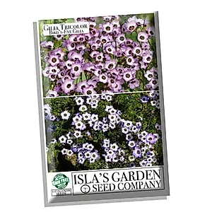 Gilia Birds-Eye Flower Seeds for Planting, 2500+ Flower Seeds Per Packet, (Isla's Garden Seeds), Non GMO & Heirloom Seeds, Scientific Name: Gilia Tricolor, Great Home Flower Garden Gift