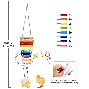 Ohanniewa Chicken Toys for Hens Chicken Xylophone Toy Chicken Mirror and Shredding Foraging Toys for Coop