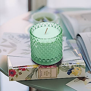 LMQSCH Candle, Scented Candle, Cotton Wicked Large Scented Candle, Luxury Candles Gifts for Women, Natural Soy Wax Aromatherapy Candle, 50 Hours Buring Time, 8.8oz Sage Lavender Mixed