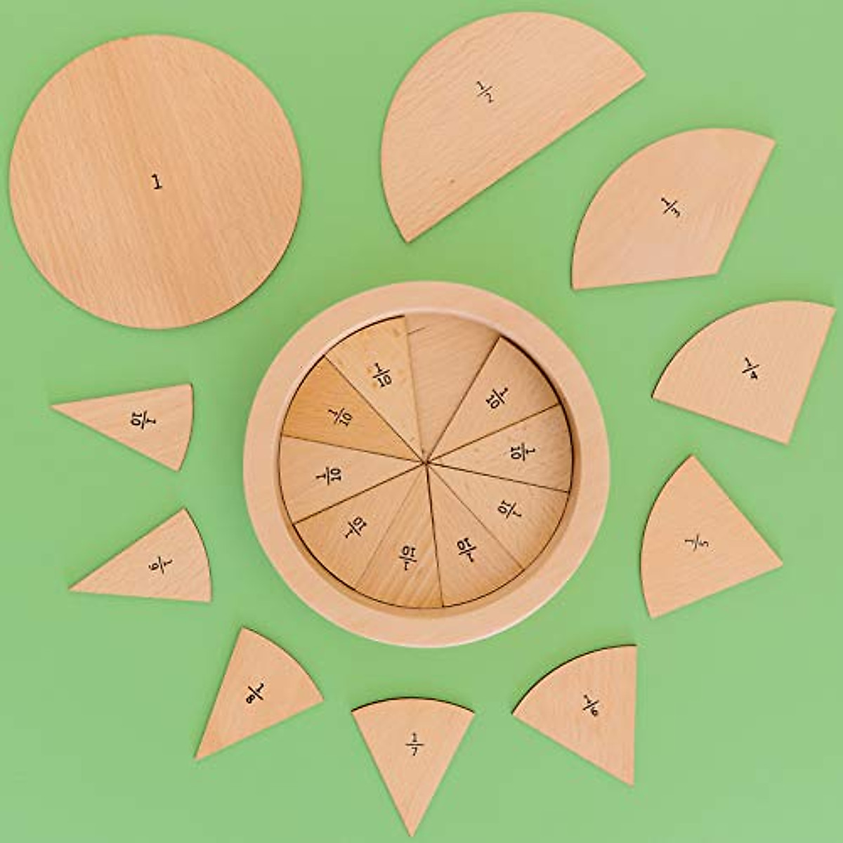 THE FRECKLED FROG Learning Fractions - Set of 55 - Math Manipulatives - Fraction Circles with 10 Values - Teach Equivalents and Parts to Whole