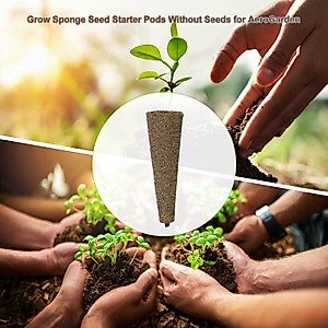 Tvoip 50 Pack Grow Sponges, Eco-Friendly Plant Seed Starter Sponges Compatible Seed Pod Replacements Root Growth Sponges Gardening Accessories Suitable Garden System Seed Starting (50 Pack Sponges)…