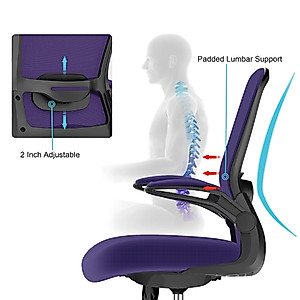 Office Chair, Ergonomic Desk Chair with Adjustable Lumbar Support, High Back Mesh Computer Chair with Flip-up Armrests-BIFMA Passed Task Chairs, Executive Chair for Home Office