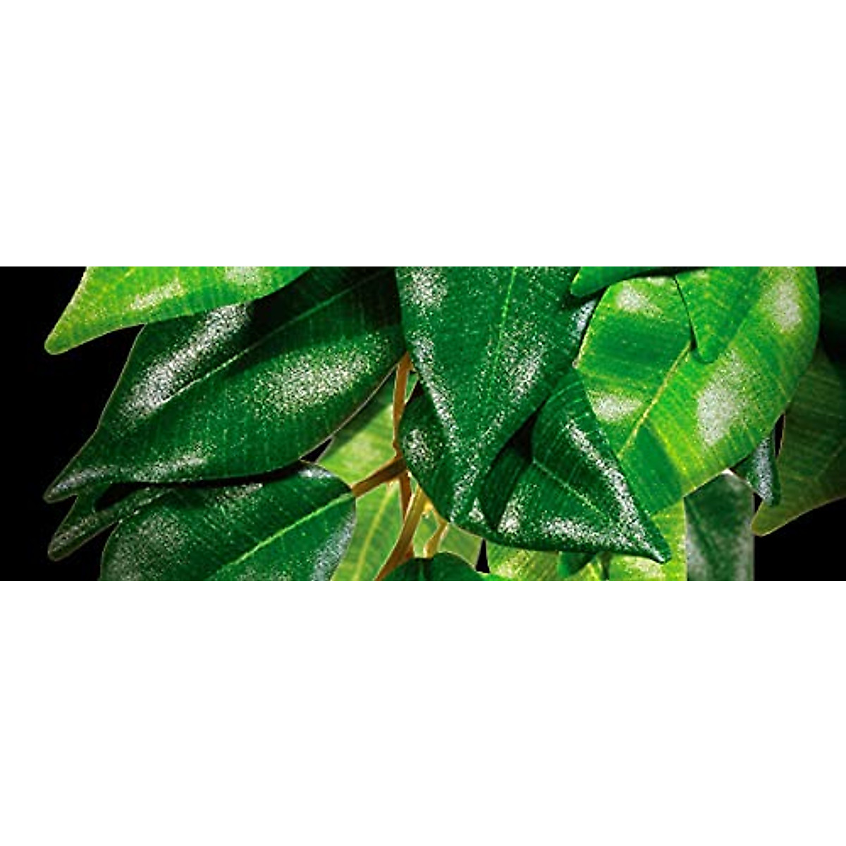 Exo Terra Silk Terrarium Plant, Small, Ficus