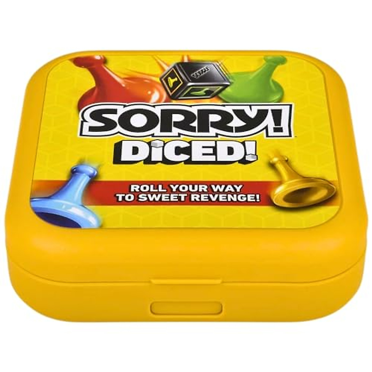 Hasbro Gaming Sorry DICE Game