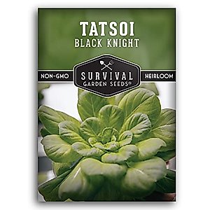 Survival Garden Seeds - Black Knight Tatsoi Seed for Planting - Packet with Instructions to Plant and Grow Delicious Asian Mustard Greens in Your Home Vegetable Garden - Non-GMO Heirloom Variety…