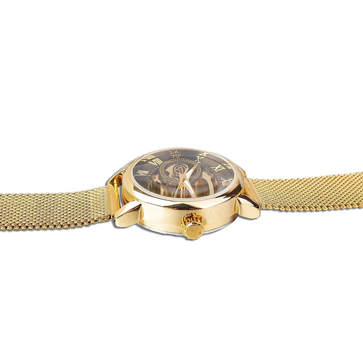 FORSINING Steampunk Watches Women's Skeleton Watch Golden Mechanical Watch for Women Minimalist Retro Design Staempunk Mechanical Skeleton Wrist Watch Transparent