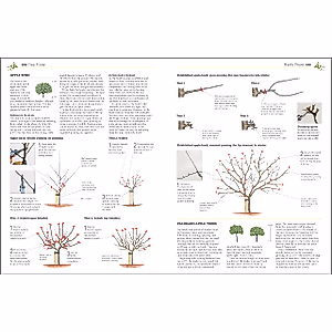 Pruning and Training, Revised New Edition: What, When, and How to Prune