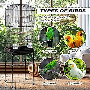 HCY Bird Cage Parakeet 64 inch Open Top Standing Parrot Accessories with Rolling Stand for Medium Small Cockatiel Canary Conure Finches Budgie Lovebirds Pet Storage Shelf, Black, 64x13x17 (Pack of 1)