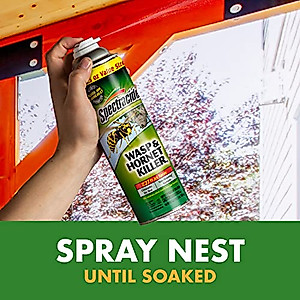 Spectracide Wasp & Hornet 3, 12 Pack, 18.5 Oz Insect Killer