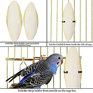 SunGrow 2 Pack Cuttlefish Bones, 6 inch, Made with Real Cuttle Fish, Calcium Source for Parakeets, Turtles, Dog, Chicken, Pleco, Snails, and Shrimps