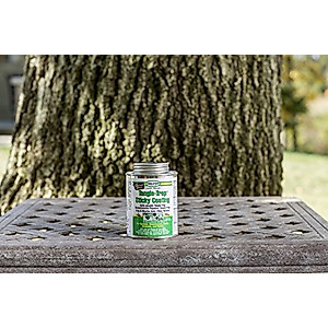 Tanglefoot Tangle-Trap Sticky Coating (Brushable), 8 oz.