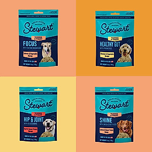 Stewart Freeze Dried Dog Food Topper, Healthy Gut, Chicken and Vegetable Recipe, 4 Ounce Pouch, Probiotics for Digestion