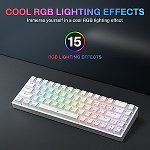 TECURS 65% Wireless Gaming Keyboard, 68 Keys RGB Backlit Ultra Compact Mechanical Feeling Keyboard - Red Switch, 2.4G/Type-C/Multi-Device Bluetooth Keyboard for PC Mac Windows Gamer