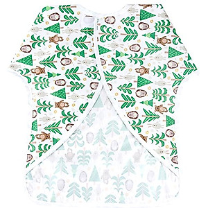 Paw Legend Long Sleeve Baby Bibs - No Leak Bibs for Baby Boy/Girl - Toddler Bib for Eating (6-24 Months) with Pocket, Smock, Hedgehog