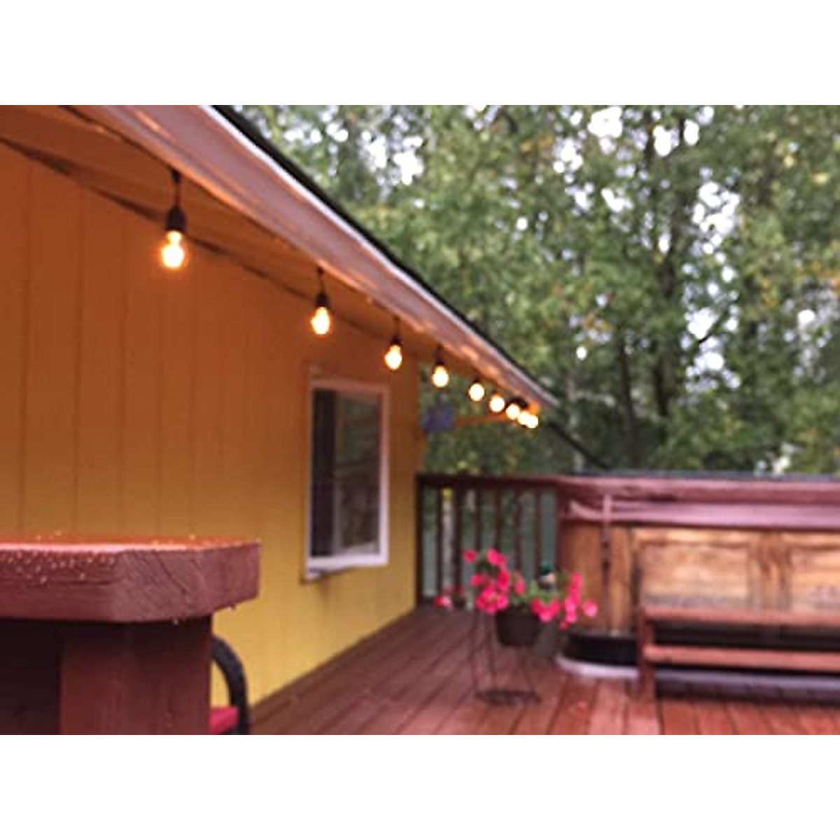 Rolay 11W Outdoor String Light Bulbs, S14 Incandescent Replacement Bulbs for Outdoor Patio String Lights with E26 Base, Pack of 25