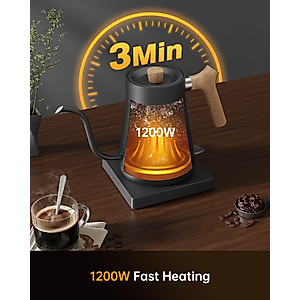 Fabuletta Gooseneck Electric Water Kettle, 3 Minutes Quick Heating, 1200W Pour Over Kettle for Coffee & Tea, Precise Water Flow Control Hot Water Boiler, 100% Stainless Steel Water Boiler