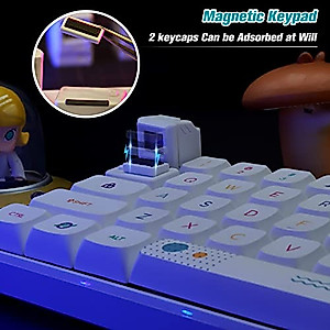 HELOIA Custom Keycaps for Esc Key and Tab Key - Magnetic Light Transmission Keycaps - Classic Retro Mechanical Backlit Keyboard Esc Tab Keycap for GK61 GK64 SK87 GH60 PC Gamer ect Most Keyboard(White)