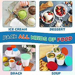 12 Pieces Ice Cream Containers Reusable Homemade Ice Cream Storage Containers with Silicone Lids 1 Quart 8.5 oz 6 oz Plastic Ice Cream Tub Assorted Freezer Storage Tubs for Yogurt Sorbet Gelato