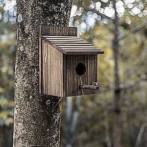 NATUREYLWL Wooden Bird House Wood Bird House for Outside with Pole for Finch, Bluebird, Cardinals, Hanging Birdhouse Garden Country Cottages