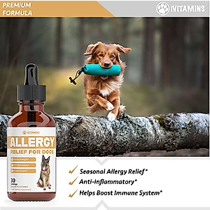 Natural Dog Allergy Relief - Helps to Naturally Support Allergy & Itch Relief for Dogs - Allergy Relief for Dogs Itching - Itch Relief for Dogs - Dog Itch Relief - Dog Allergy Support - 1 fl oz (Dogs)
