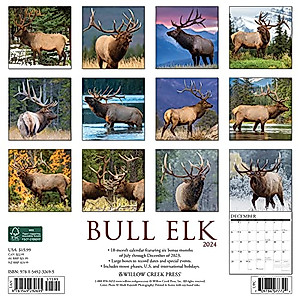 Willow Creek Press Bull Elk 2024 12" x 12" Wall Calendar