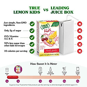 TRUE LEMON Fruit Punch Packets - Low Sugar, No Preservatives Kids Hydration Drink Mix