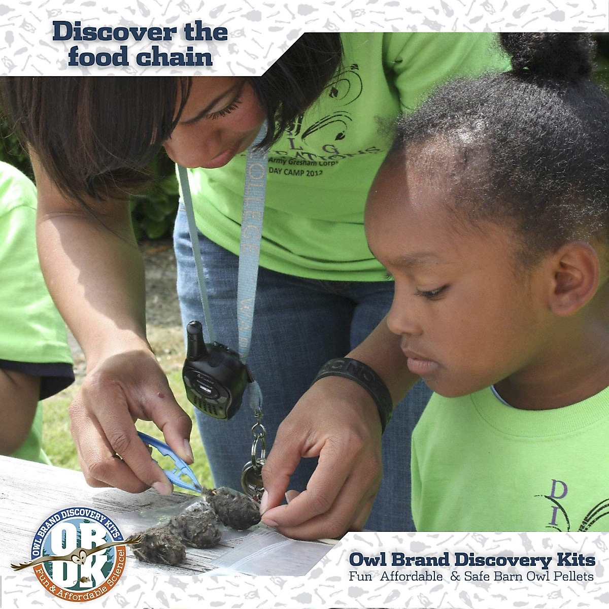 20 Small Barn Owl Pellet Dissection Kit with Paddle Pick & Bone Charts