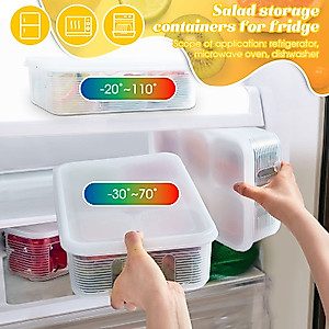 Rtteri 2 Sets Salad Bar Containers for Fridge Food Storage Containers with Airtight Lids Divided Pizza Salad Storage Include 6 Pcs Removable Reusable Box No BPA