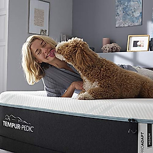 Tempur-Pedic ProAdapt 12" Spring and Memory Foam Supportive Mattress with Cooling Cover, Hybrid Memory Foam Mattress with Spring Coils, Queen