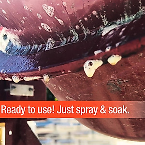 Tenon Concrete & Masonry Dissolver - Remove Concrete, Cement, Mortar, Grout, Stucco, and Masonry From Tools, Mixers, Wood, Plastic, and Aluminum, Ready-to-Use, Non-Toxic (28 Ounce)