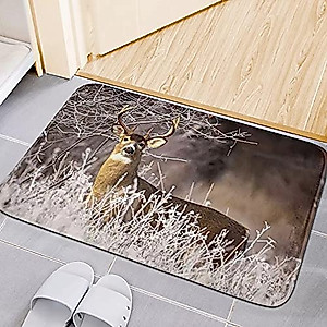 Beauty Collector Soft Hallway Entrance Welcome Mat Deer Prints Doormat for Bedroom Kitchen Dorm Funny Indoor Small Non Slip Rug Cabin Doorway Front Door Mat