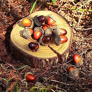 Cshangzei 200PCS Mini Artificial Acorns,Bulk Fake Acorn with Natural Cap Lifelike for Fall Thanksgiving Halloween Decoration,Wedding Decor,Vase Filler,DIY Crafts