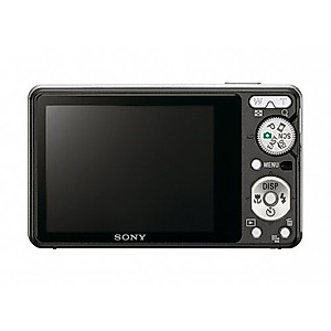 Sony Cybershot DSC-S950 10MP Digital Camera with 4x Optical Zoom with Super Steady Shot Image Stabilization (Black)