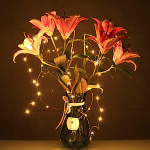 TingMiao Fairy Lights, 6 Pack Fairy Lights Battery Operated 7.2 ft 20 LED Mini String Lights Waterproof Copper Wire Firefly Starry Lights for Wedding Bedroom Party Christmas Decor(Warm White)