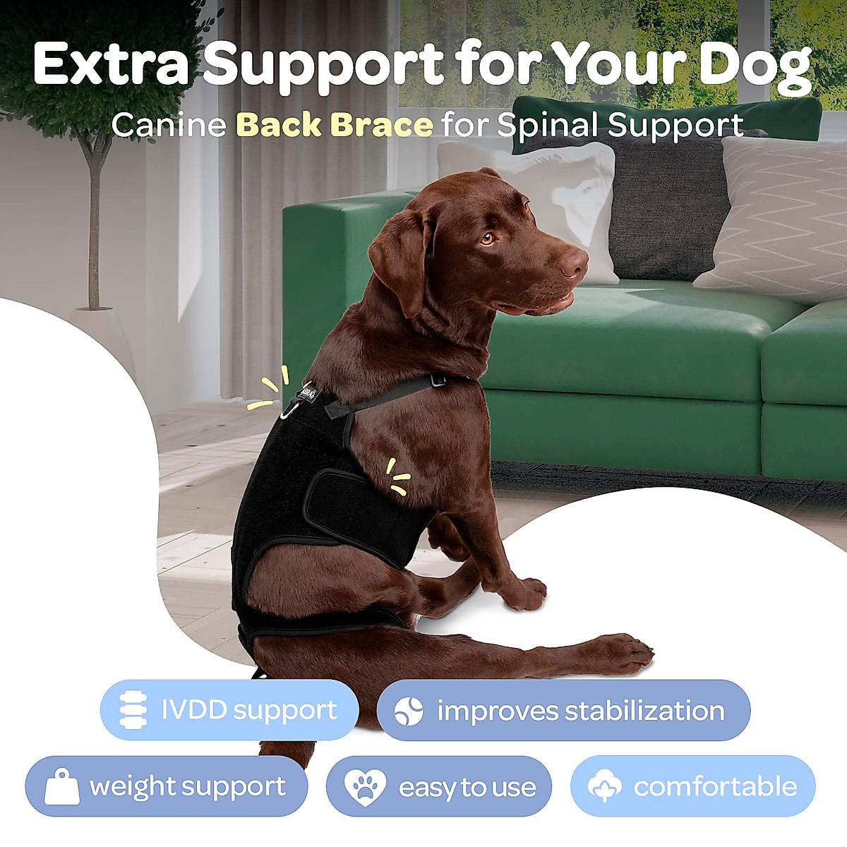 Labra Dog Canine K9 Back Brace - IVDD Spine Pain & Spinal Injury, Arthritis, Bulging Discs Brace for Corgis, Dachshund, Post Surgery Recovery, Rehab, Inflammation - Small