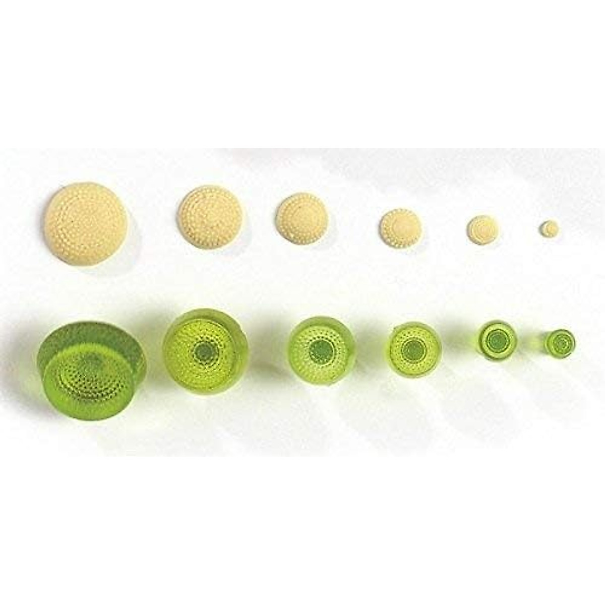 JEM Daisy Centre Stamp, Cake Decorating, Set of 6 Fondant Cutters