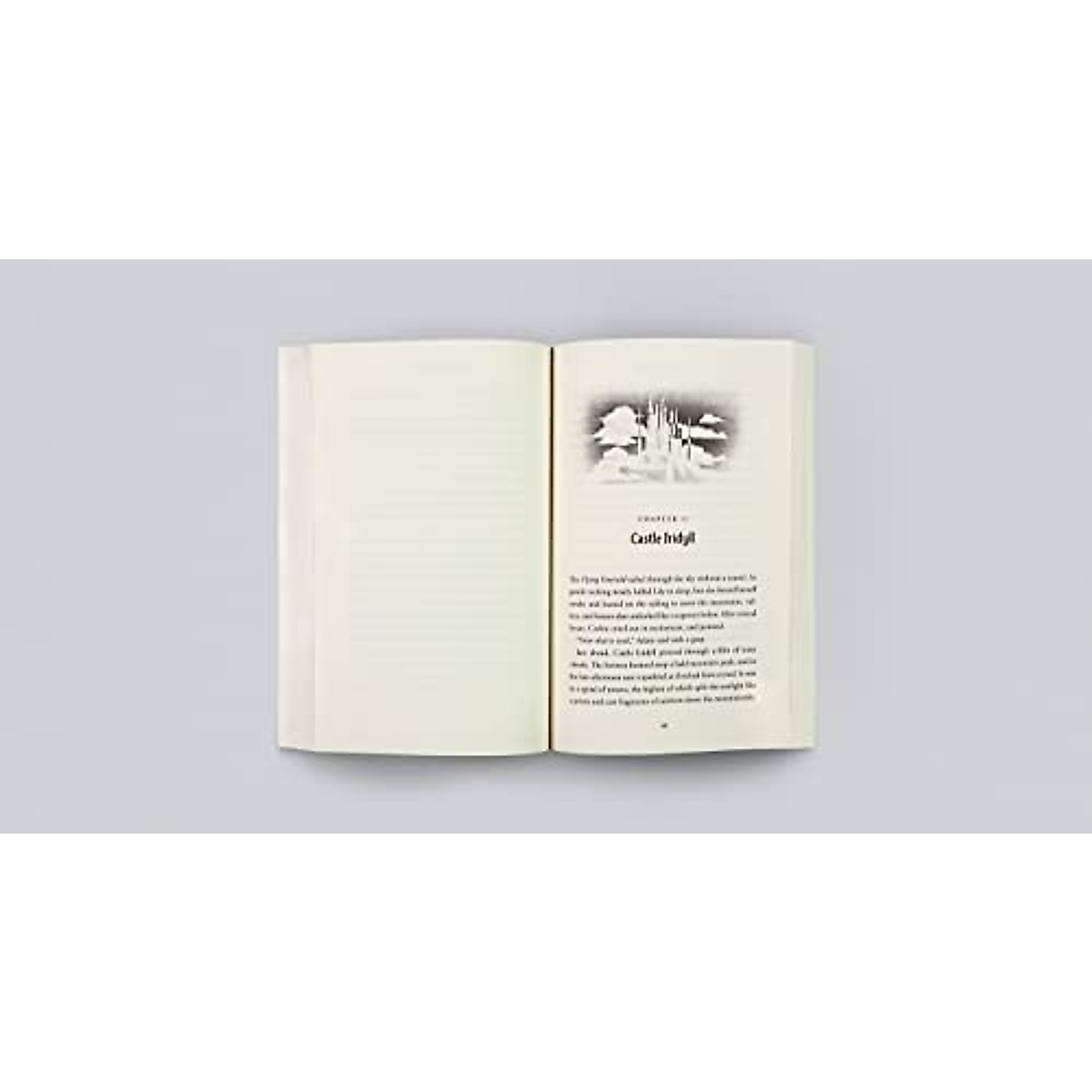 The Dragon and the Stone (The Dream Keeper Saga Book 1)