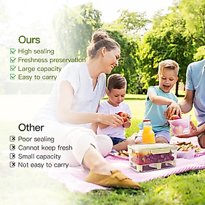 Fruit Storage Berry Keeper Container with Lid and Handle, Portable Food Storage Saver Containers with Ice Pack, for Picnic, Office, Refrigerator, Fridge, Keep Fruit, Vegetable, Meat Fresh (Green)