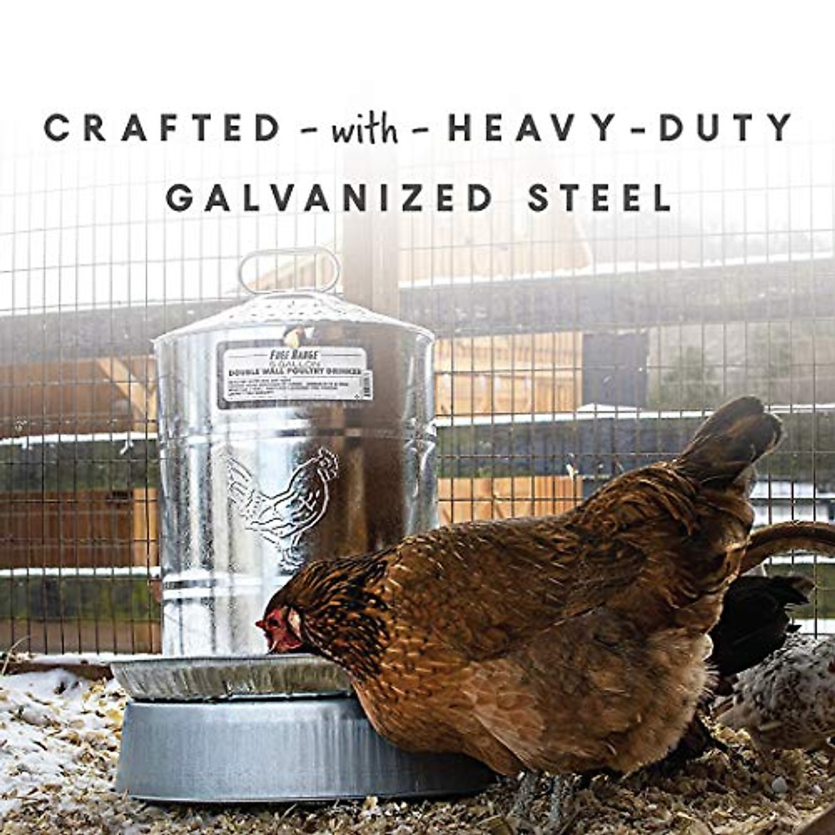Manna Pro Hanging Chicken Waterer for Chicken Coop | Holds 2 Gallons of Water | Harris Farms Galvanized Steel Double Wall Poultry Drinker ,Silver
