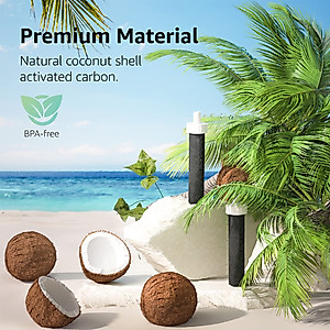 AQUA CREST Water Bottle Filter, Replacement for Brita® BB06, Brita® Hard Sided, Stainless Steel and Plastic Bottle Filter, 6 Count