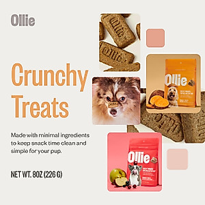 Ollie Crunchy Treats Variety Pack - Apple Berry & Sweet Potato Recipe - Crunchy Dog Treats All Natural - Healthy Dog Treats - 100% Human Grade - Baked in USA Kitchens 16 Oz.