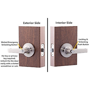 Copper Creek AL1231SS Avery Lever, Satin Nickel