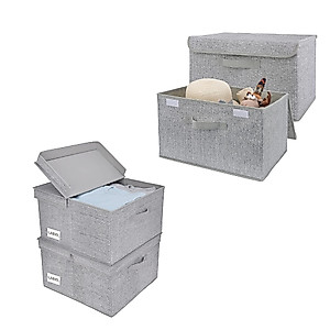 GRANNY SAYS Bundle of 2-Pack Large Rectangle Storage Bins & 2-Pack Closet Storage Bins