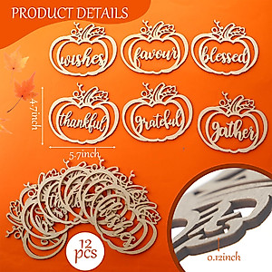 Qunclay 12 Pcs Thanksgiving Plate Decor Pumpkin Wood Cutouts Fall Thankful Blessed Thanksgiving Table Decor Fall Word Plate Sign Place Cards Settings for Autumn Rustic Letter Decorations