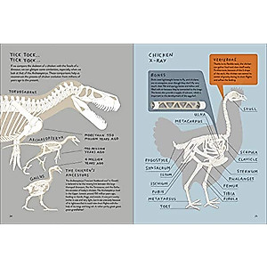Chickenology: The Ultimate Encyclopedia (The Farm Animal Series)