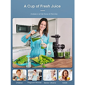Juicer Machines, HOUSNAT Professional Celery Slow Masticating Juicer Extractor Easy to Clean, Cold Press Juicer with Quiet Motor and Reverse Function for Fruit & Vegetable, Brushes & Recipes Included