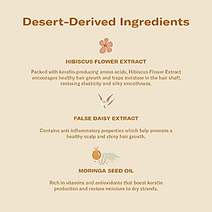 DAE Signature Shampoo - Cleanses & Hydrates Dry Hair & Scalp (10 oz.)