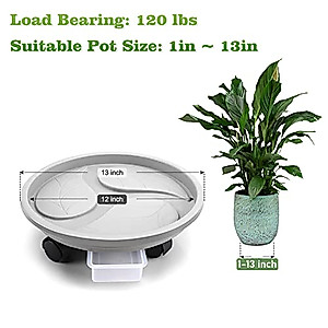 Looca Plant Caddy with wheels and Drainage Tray, 13”Rolling Plant Stand Flower Pot Mover, Planter Caddies Round Plant Dolly for Heavy Duty Planter, 3 Pack, Bearing 120 lbs